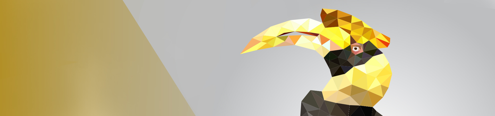 - Council for Native Customs & Traditions